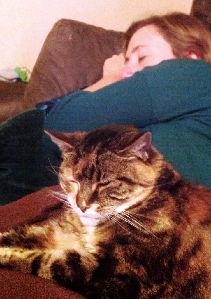 Stone, More Than ‘Just’ a Cat | The Ralph Site Blog