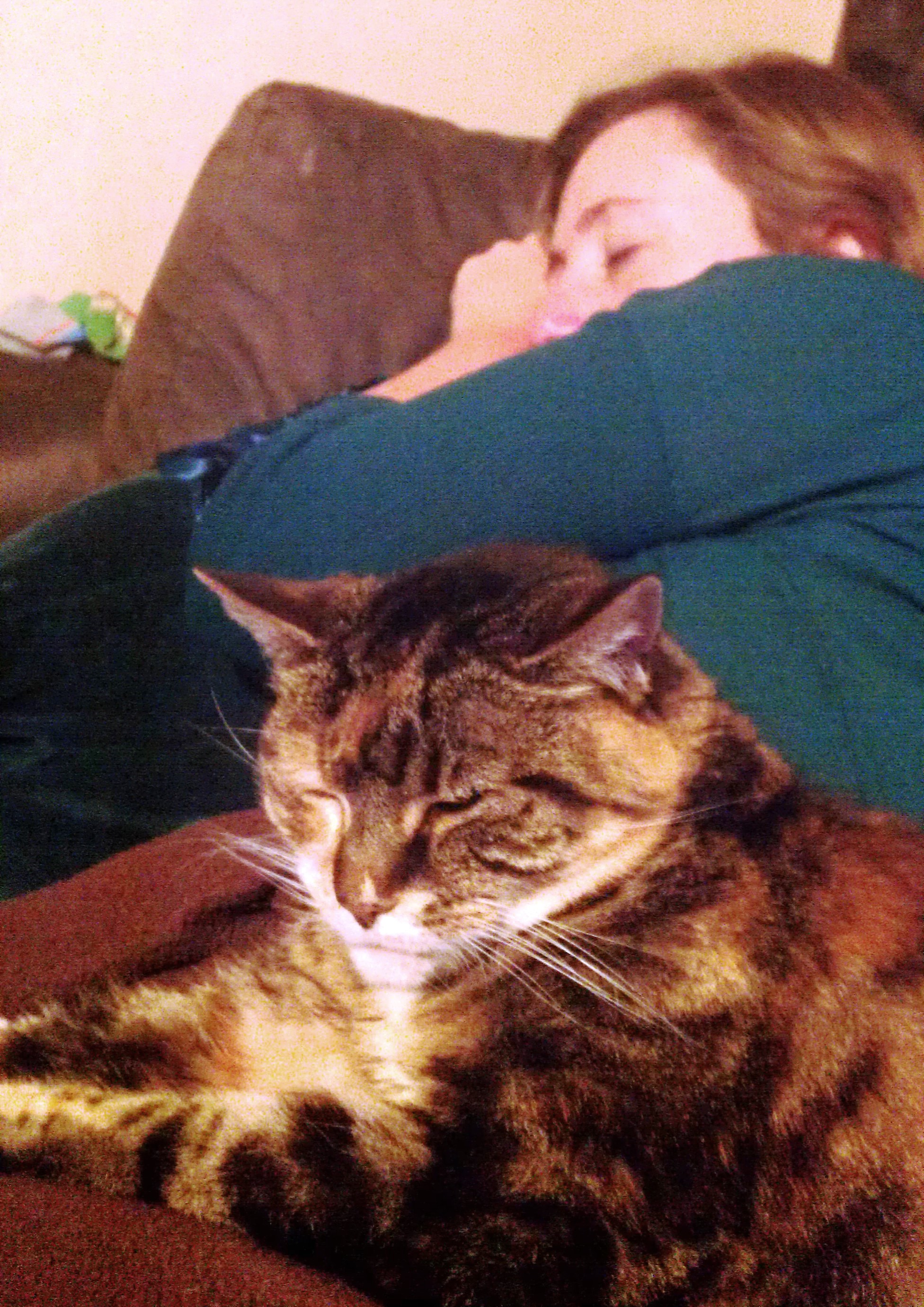 Stone, More Than ‘Just’ a Cat | The Ralph Site Blog